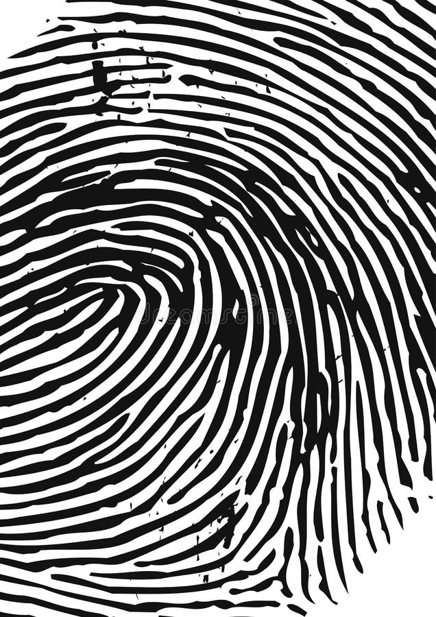 Fingerprint (vector) stock vector. Illustration of document - 6937806