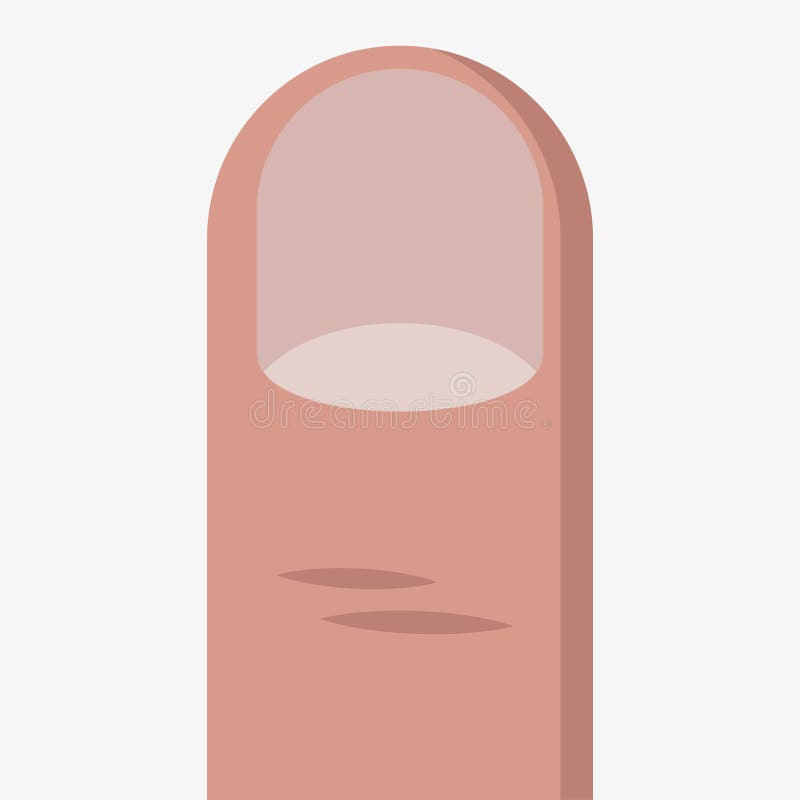 Finger Vector Icon Isolated on White Background Stock Vector ...