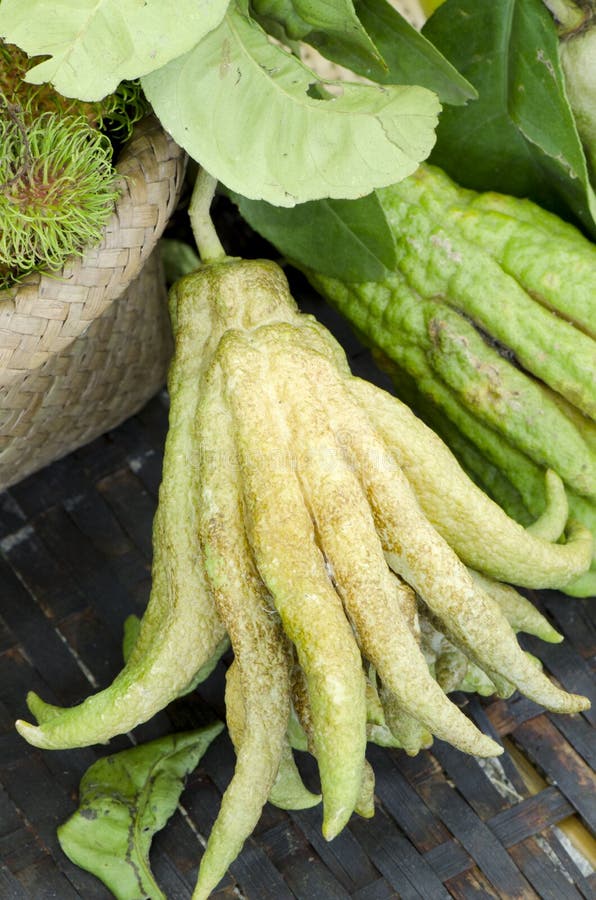 Buddha S Fingers, Buddha S Hand, Fingered Citron (Citrus Medica L ...