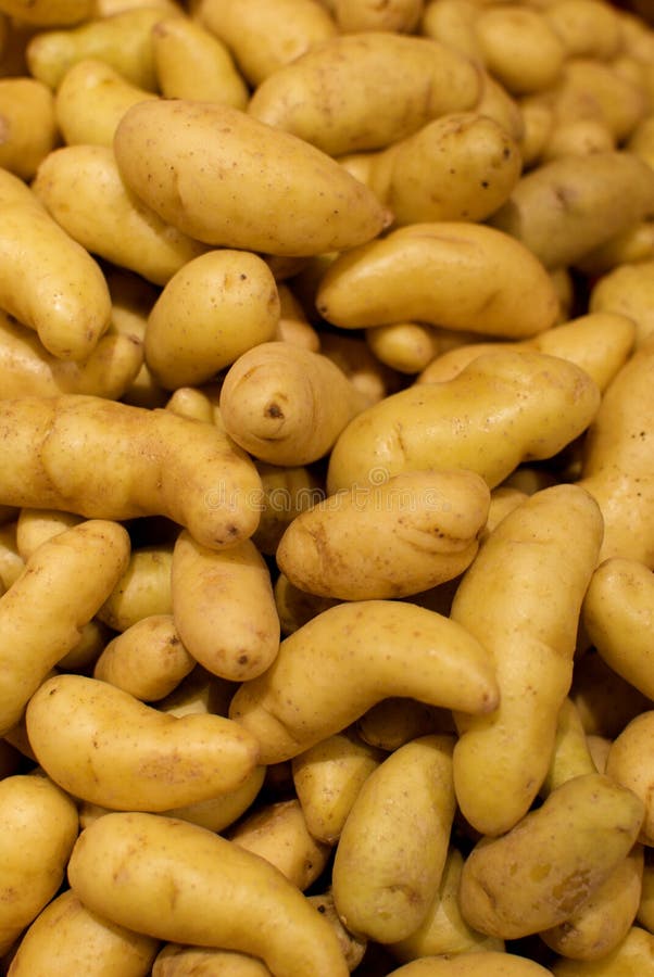 Multi-colored Fingerling Potatoes at an Outdoor Farmers Market. Stock ...