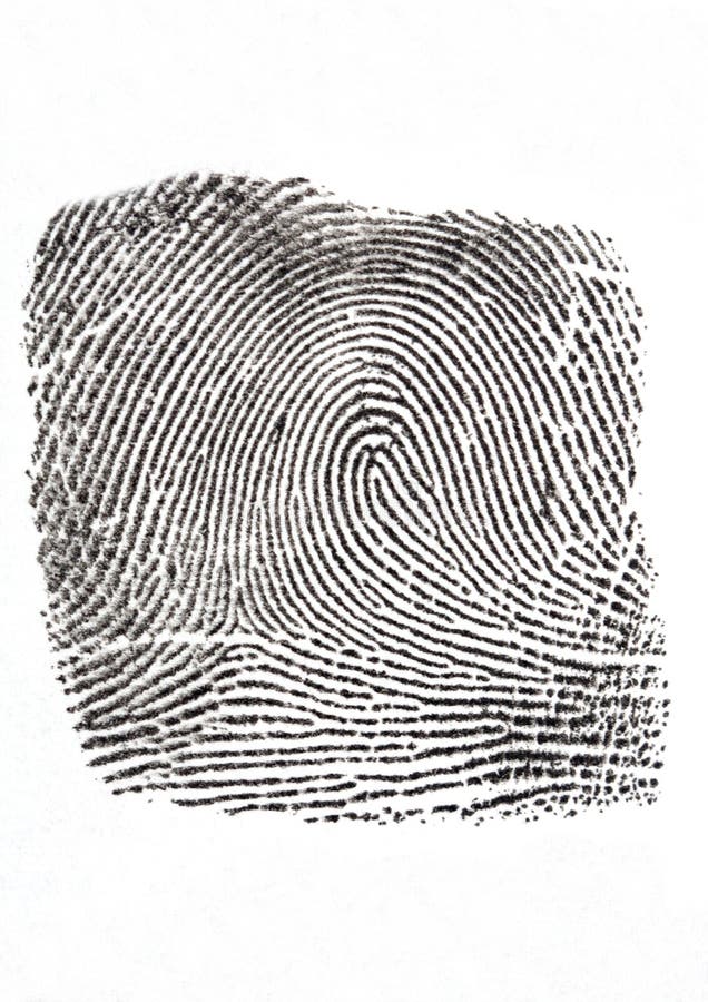 Real fingerprint stock image. Image of lined, natural - 36032579