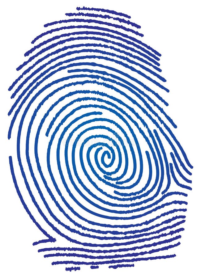 Blue fingerprint stock vector. Illustration of coding - 21211398