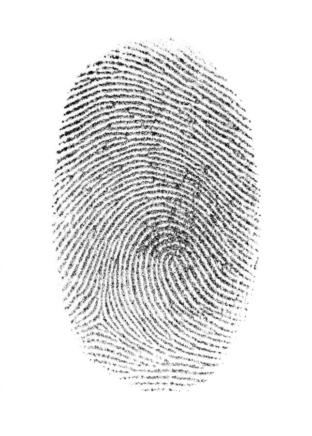 Real fingerprint stock photo. Image of finger, allegory - 25787622