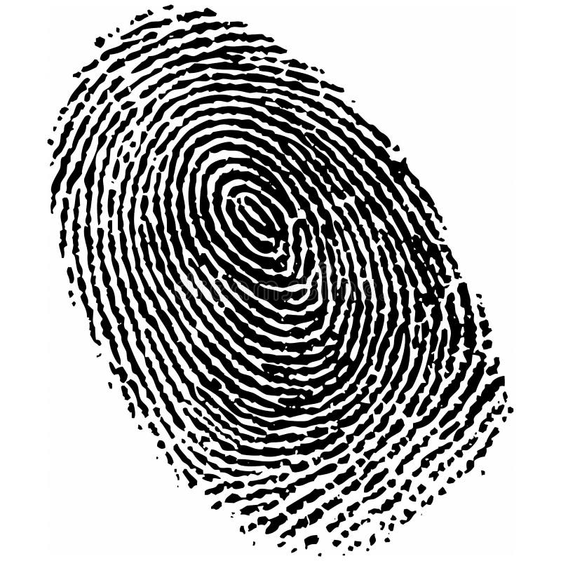 Fingerprint stock vector. Illustration of police, proof - 1595020