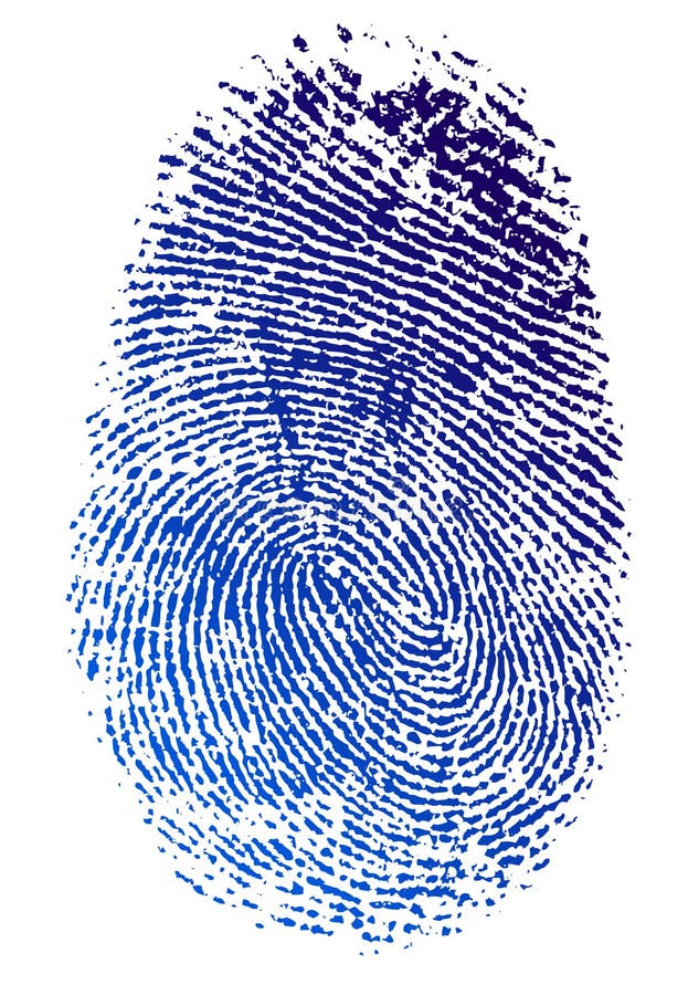Fingerprint stock illustration. Illustration of curves - 17715383