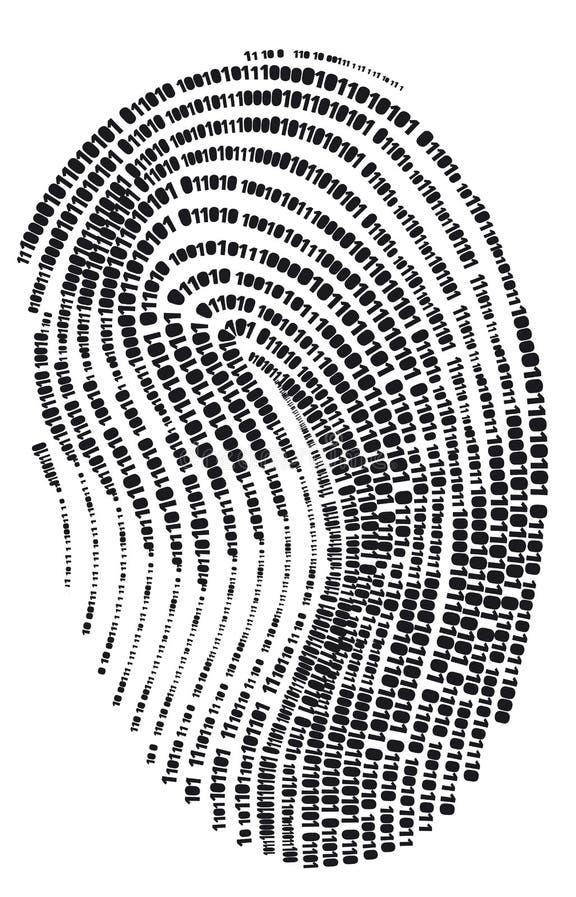 Fingerprint stock vector. Illustration of security, prints - 1834320