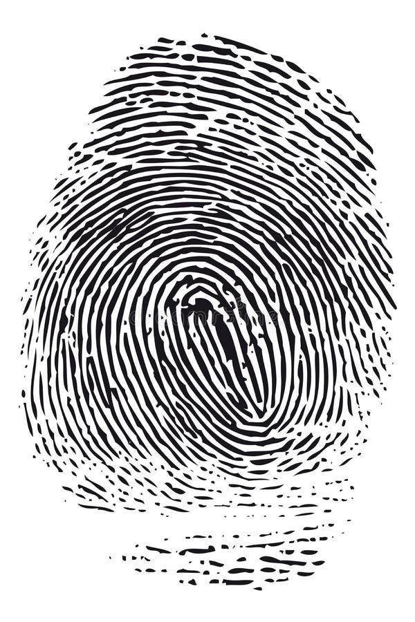 Fingerprint (vector) stock vector. Illustration of forensics - 6937882