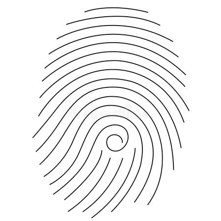 Fingerprint stock vector. Illustration of curves, line - 24785951