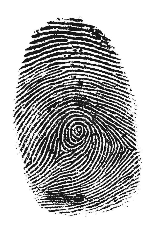 Fingerprint (16) stock vector. Illustration of information - 361989