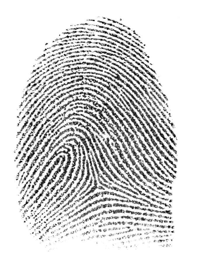 Real fingerprint stock photo. Image of finger, allegory - 25787622