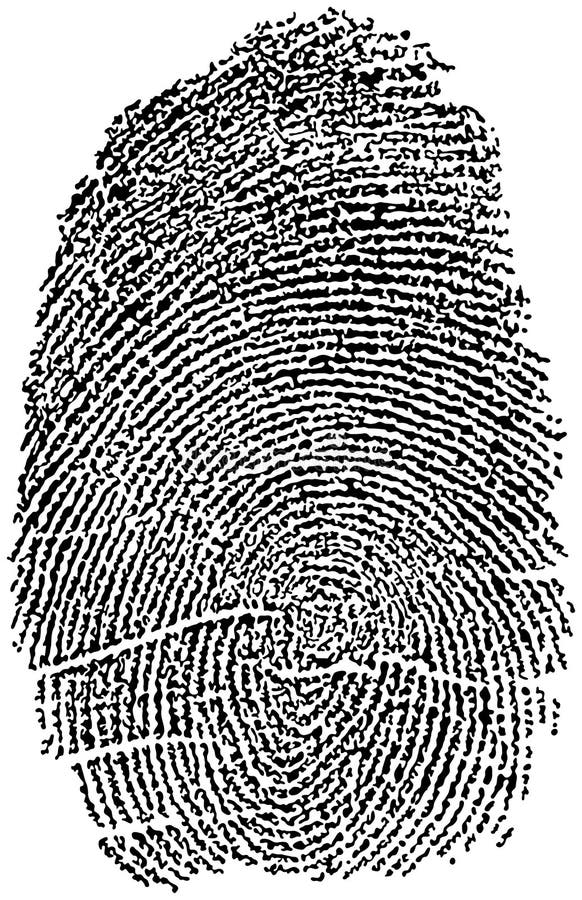 Fingerprint stock vector. Illustration of thumbprint, black - 3743628