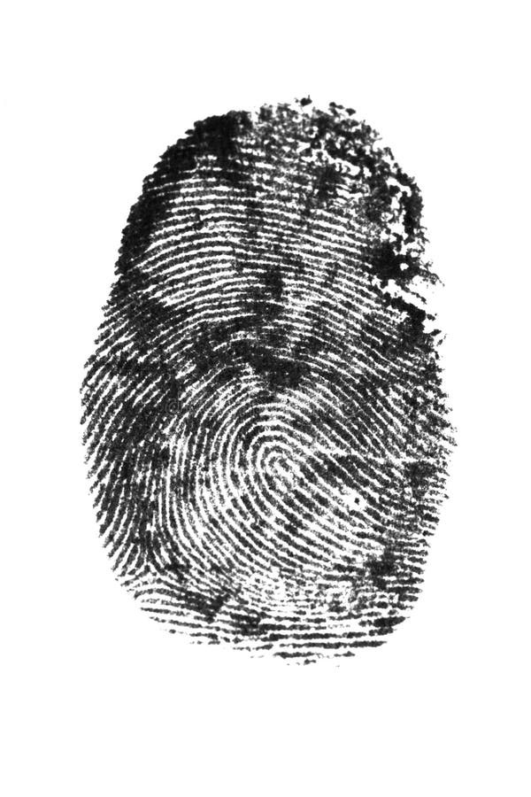 Real fingerprint stock image. Image of lined, natural - 36032579