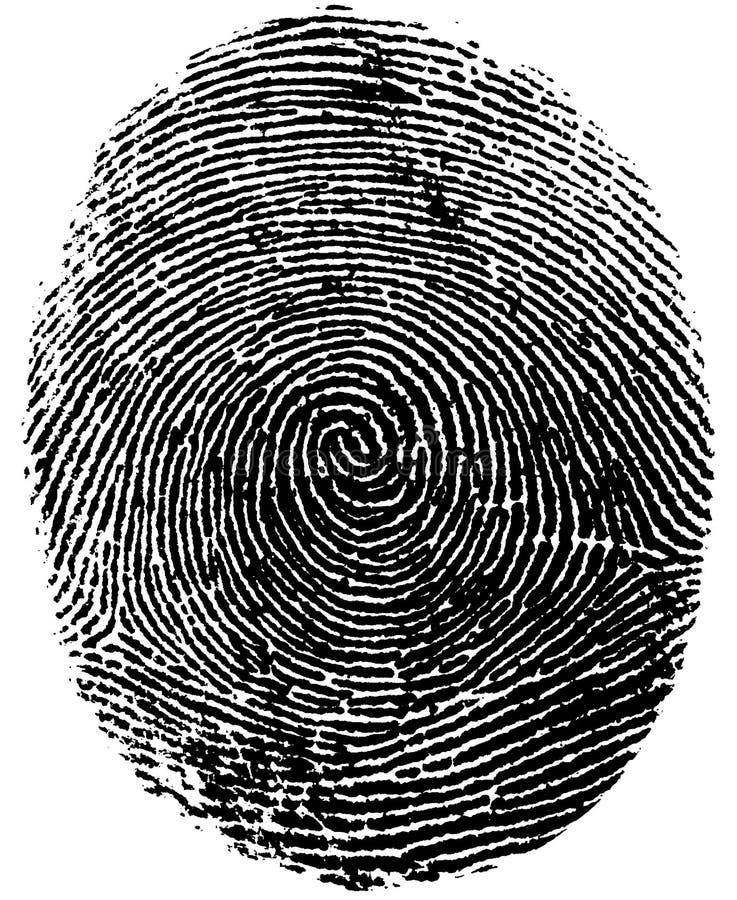 Fingerprint (16) stock vector. Illustration of information - 361989 Fingerprint (16) stock vector. Illustration of information - 361989
