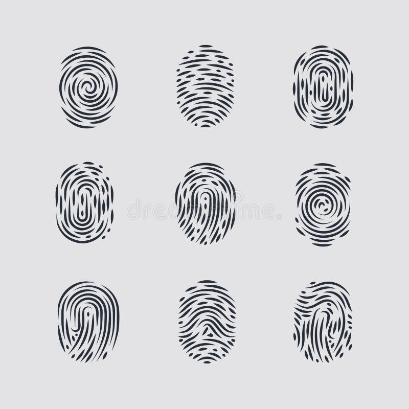 Fingerprint Types Stock Illustrations – 77 Fingerprint Types Stock ...