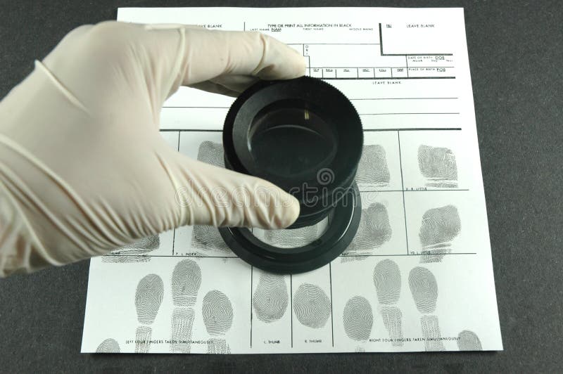 Fingerprint card stock photo. Image of fingerprint, ridges - 11455478