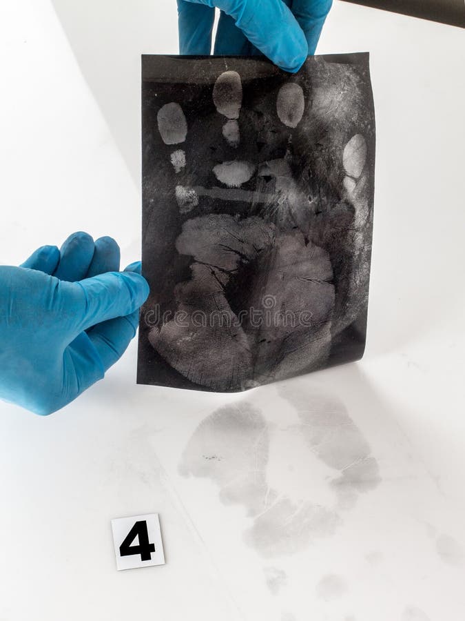 Inspecting evidence stock image. Image of forensic, collection - 6839429