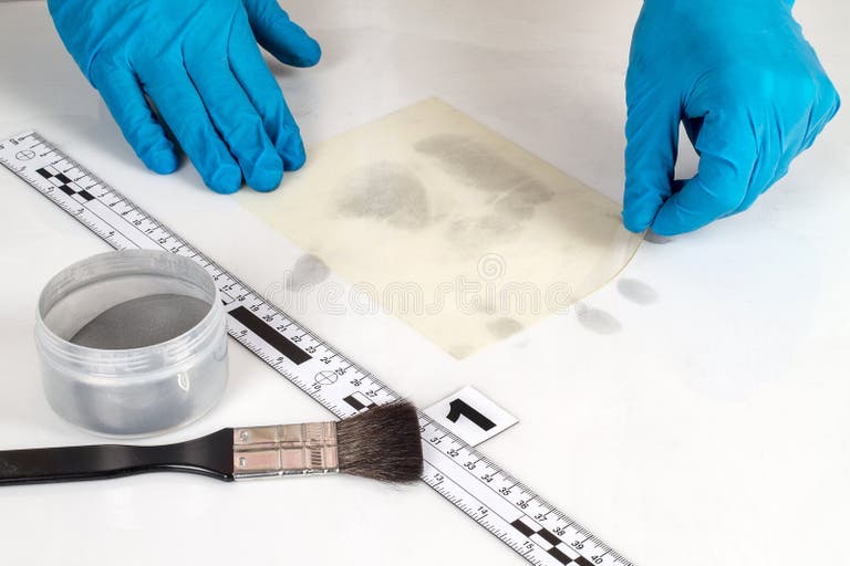 Fingerprint stock photo. Image of brush, crime, check - 39903072