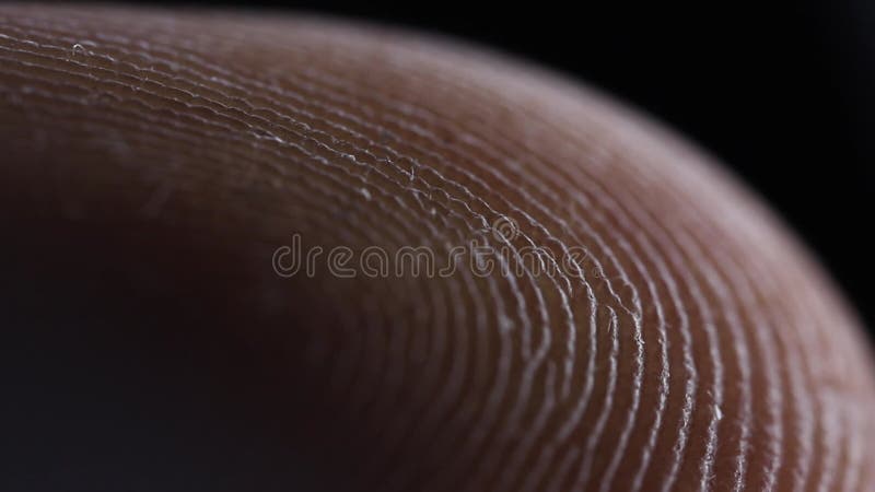 Fingerprint Extremely Close Up. on Black Background with High Contrast ...
