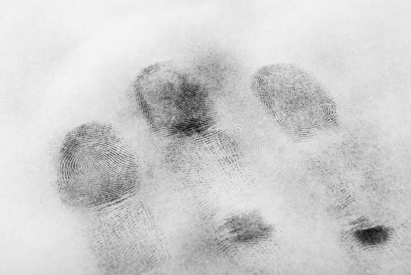 Fingerprint. stock photo. Image of single, finger, magnifying - 48772800