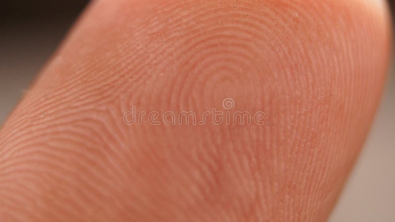 Fingerprint stock image. Image of macro, print, skin - 45434201