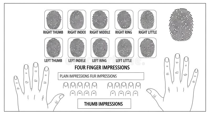 Thumb Impressions Stock Illustrations – 17 Thumb Impressions Stock ...