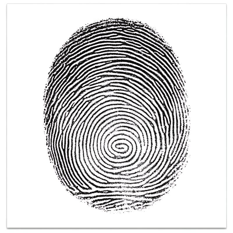 Fingerprint Identification Security Pattern Isolated on White ...
