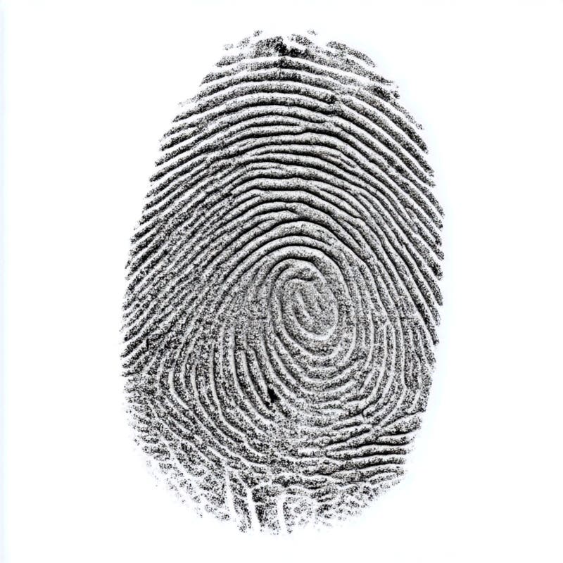 Fingerprint Identification Unique Human Security Forensics Stock ...