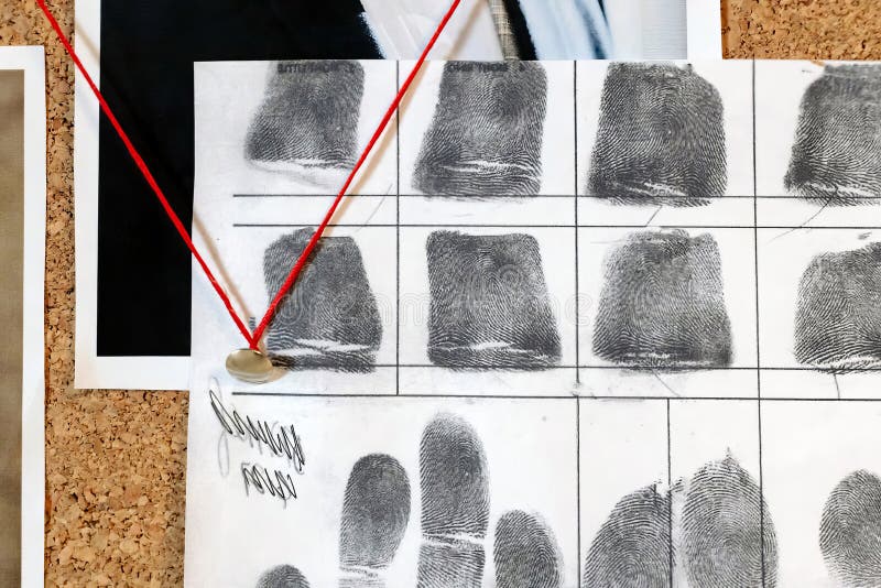 Fingerprint Identity Verification Concept, Biometric, Security ...