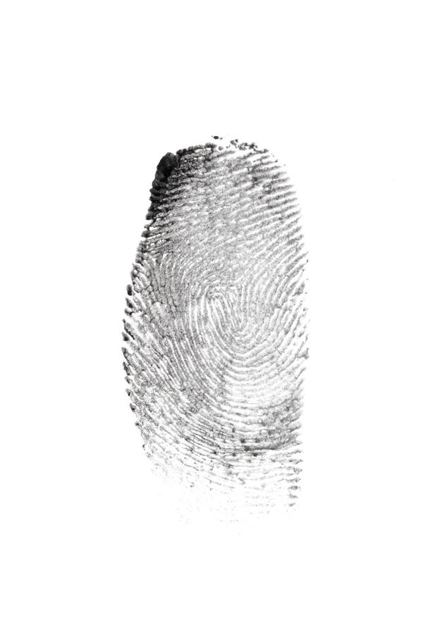 Fingerprint Pattern Isolated on White - Image Stock Illustration ...