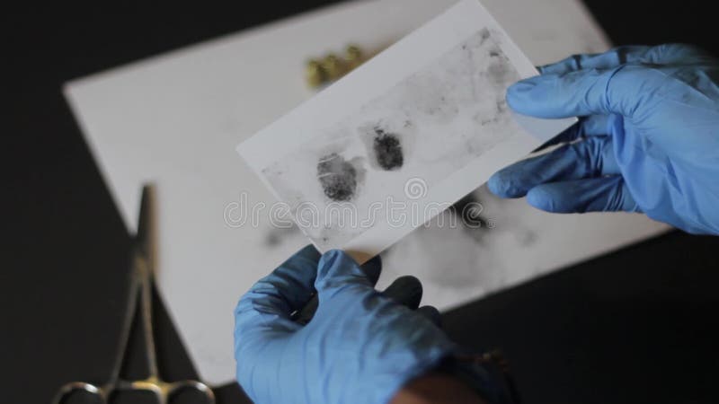 Processing Fingerprints in a Forensics Lab 1080p Hd Stock Video - Video ...