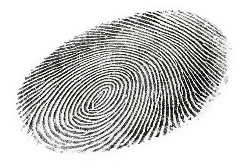 Fingerprint Vector â€ Isolated on White Background Stock Illustration ...