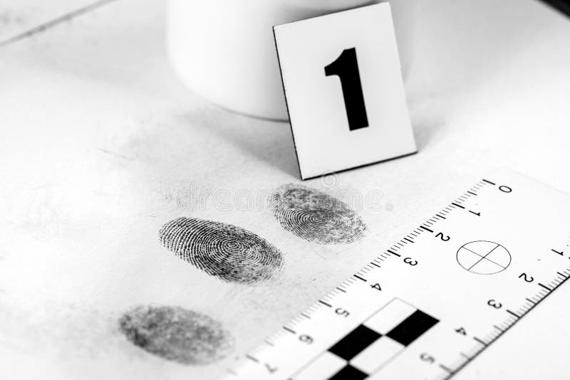 Fingerprint stock image. Image of identity, check, paper - 15118481