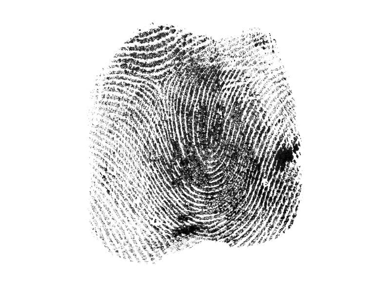 Fingerprint on White Background Stock Image - Image of identity, cutout ...