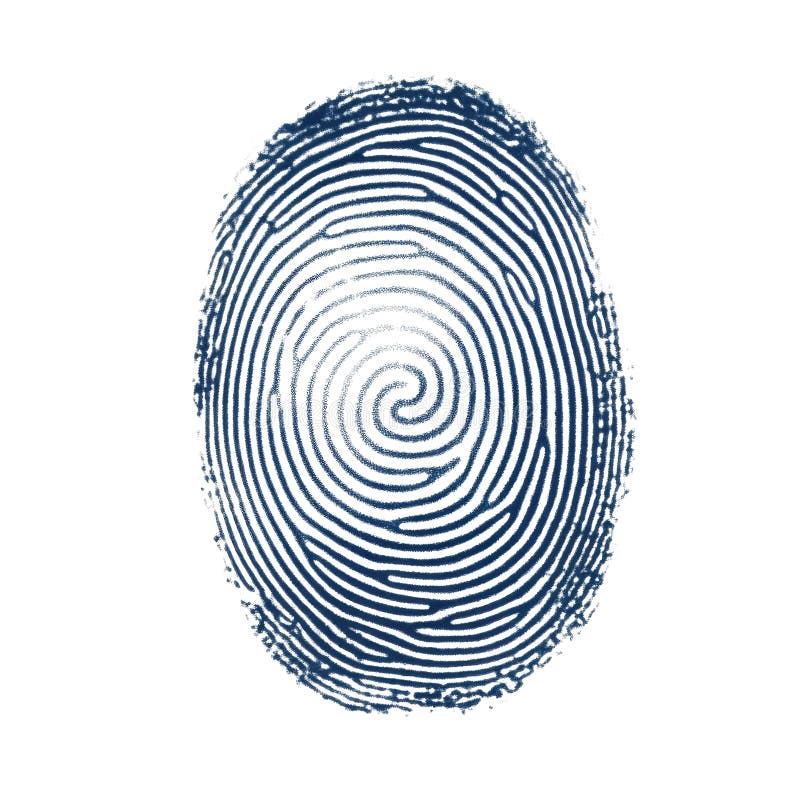 Fingerprint on White Background. Concept of Identification and Security ...