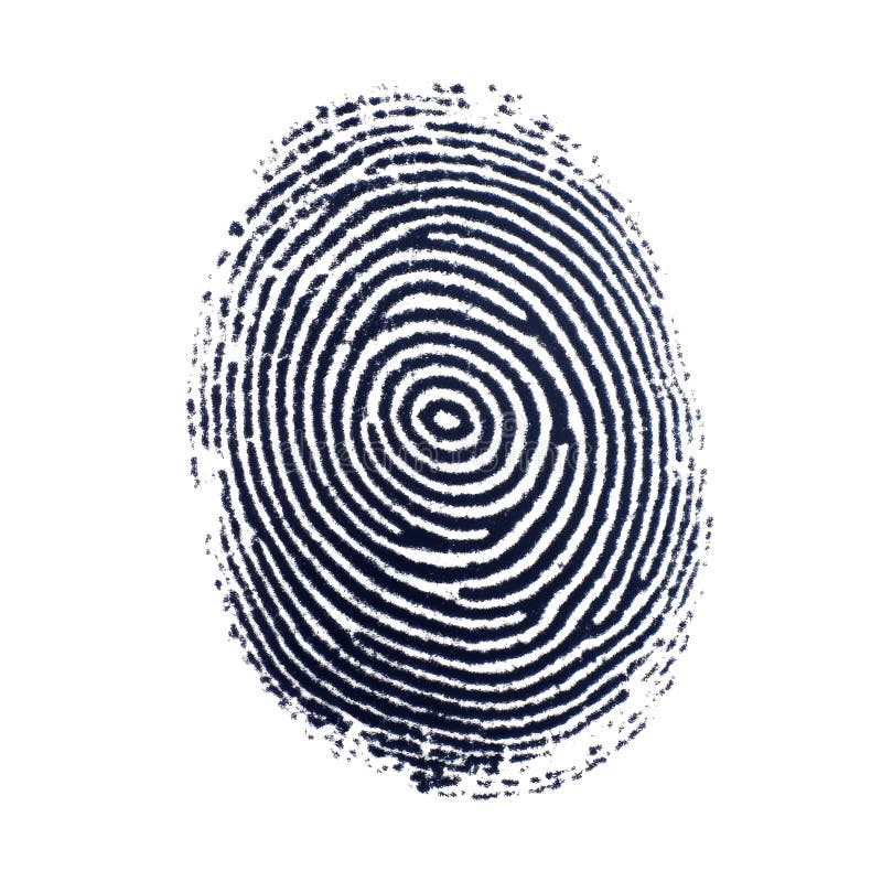 Fingerprint on White Background. Concept of Identification and Security ...