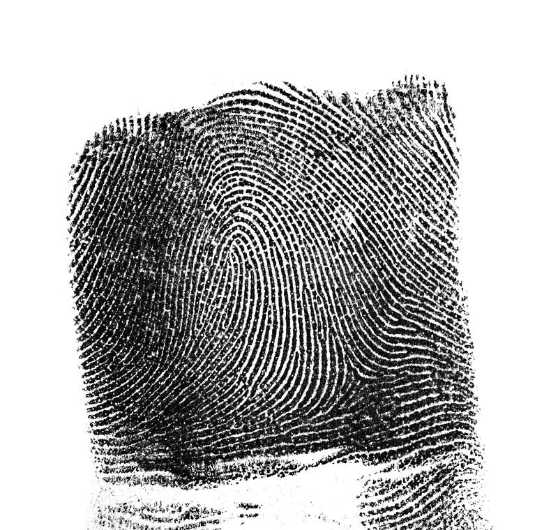 Fingerprint on White Background Stock Photo - Image of dactylogram ...