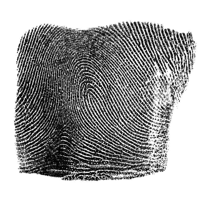 Fingerprint on White Background Stock Image - Image of people ...