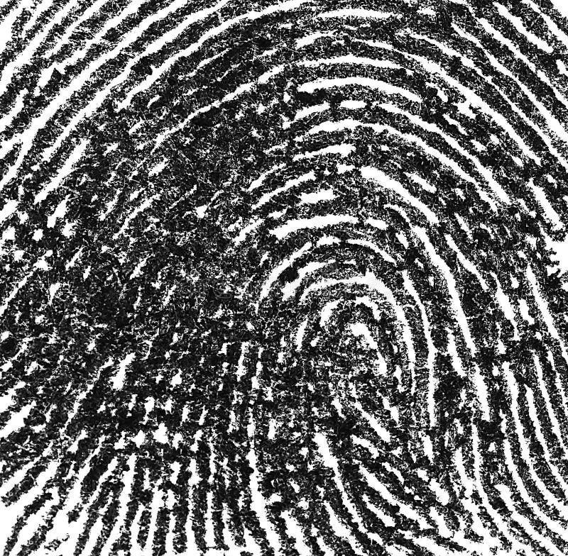 Real fingerprint stock photo. Image of finger, allegory - 25787622