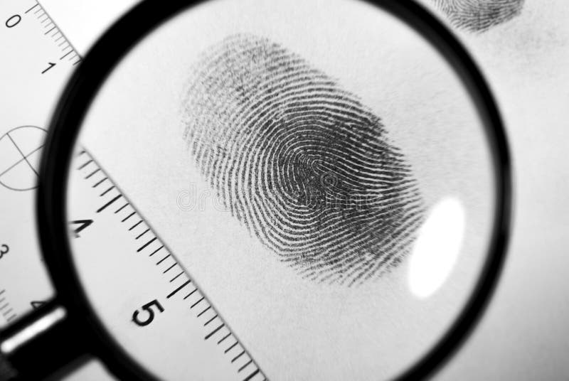 Fingerprint. stock image. Image of identity, individuality - 48772759