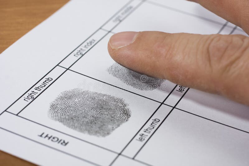 Fingerprint stock image. Image of single, palm, criminal - 30680659