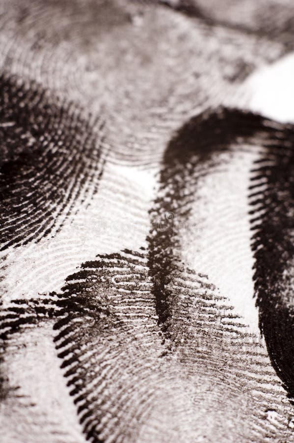 Fingerprints stock photo. Image of white, background - 11898166