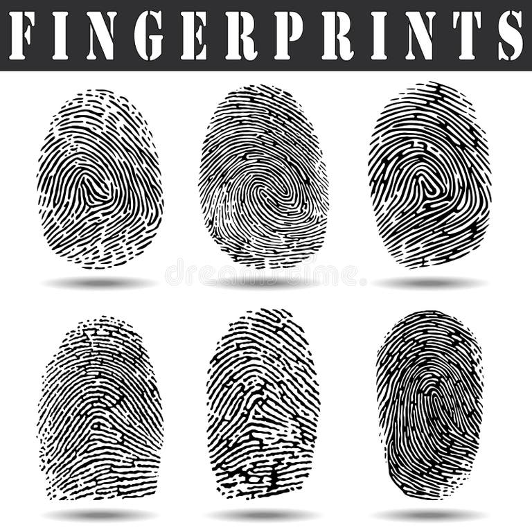 Fingerprints stock vector. Illustration of identification - 62900985
