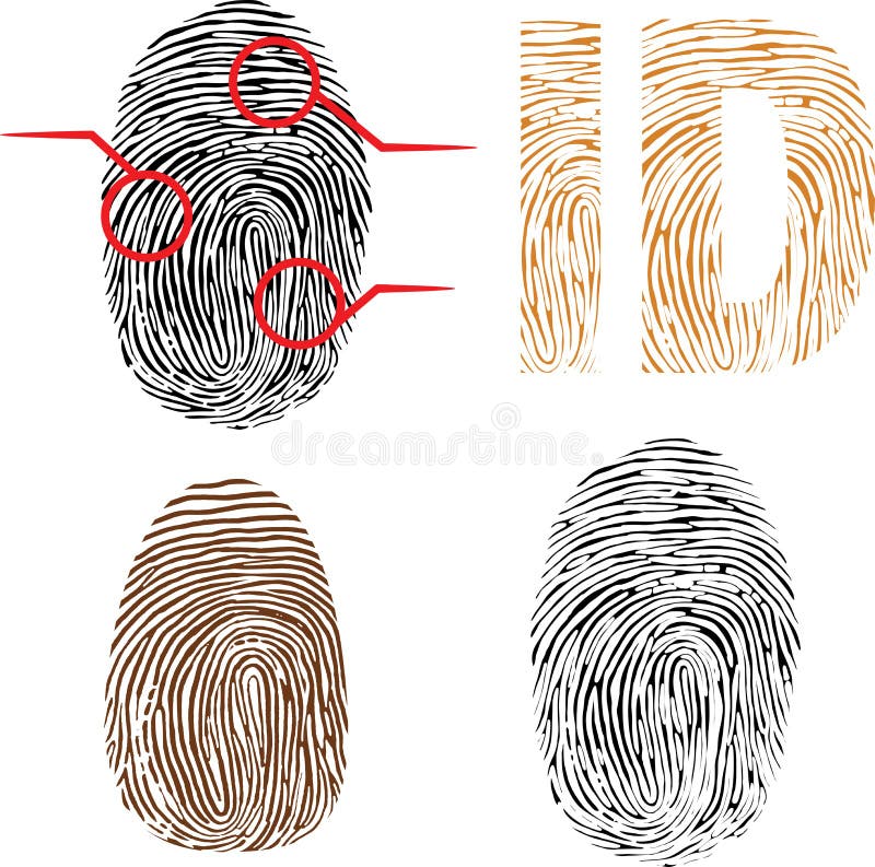 Fingerprints stock vector. Illustration of biometric - 47836218 Fingerprints stock vector. Illustration of biometric - 47836218
