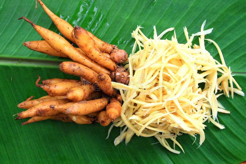 Fingerroot on banana leaf stock image. Image of kitchen - 25220579