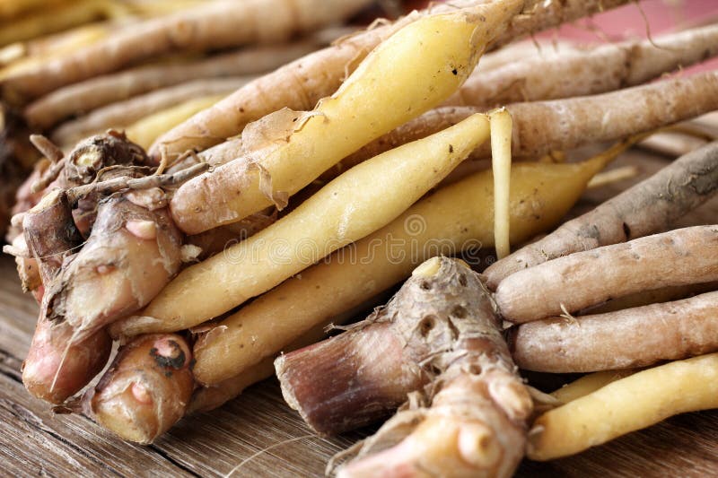 941 Fingerroot Stock Photos - Free & Royalty-Free Stock Photos from ...