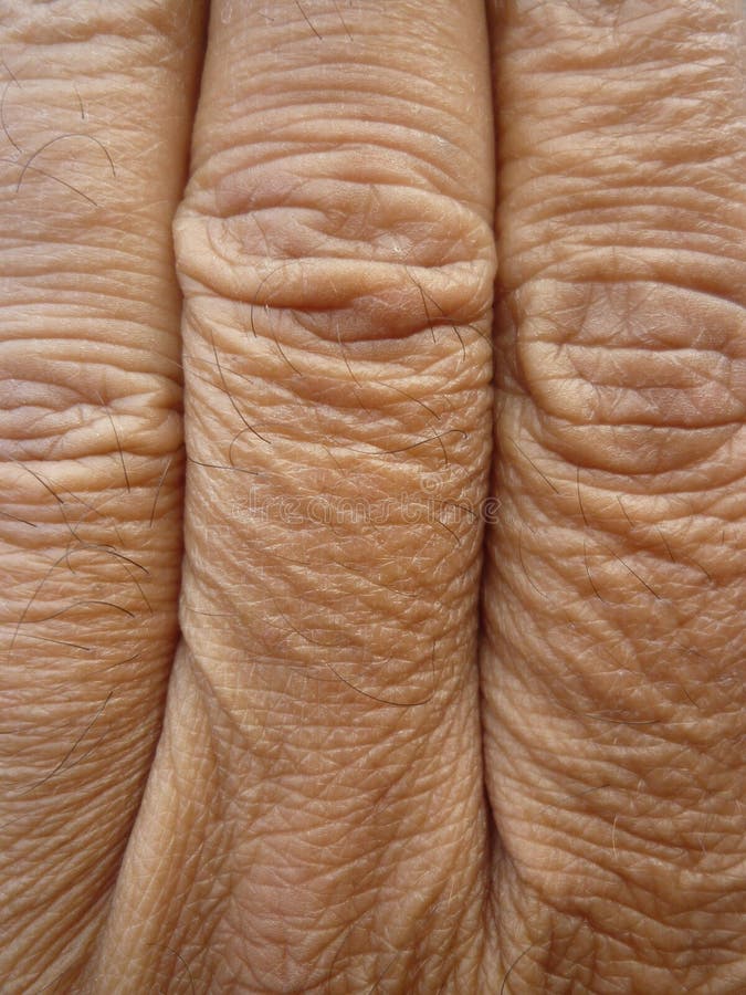 Fingers stock image. Image of texture, human, living - 15321965