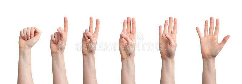 Fingers Counting from Zero, One, Two, Three, Four To Five Numbers, Hand ...
