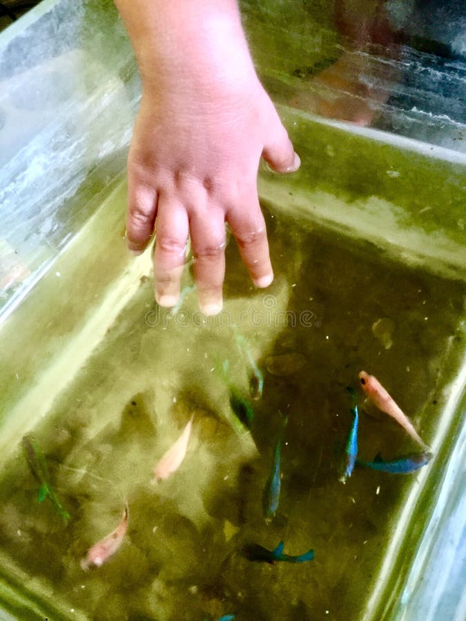 Fingers and fish stock image. Image of fish, play, water - 206571347