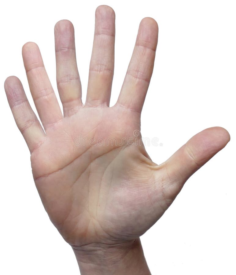 6 fingers stock photo. Image of weird, more, palm, evolution - 13977642
