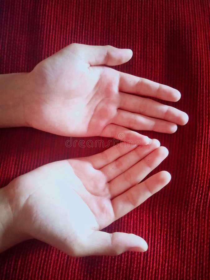 The Fingers of the Human Body Hand Stock Photo - Image of human ...